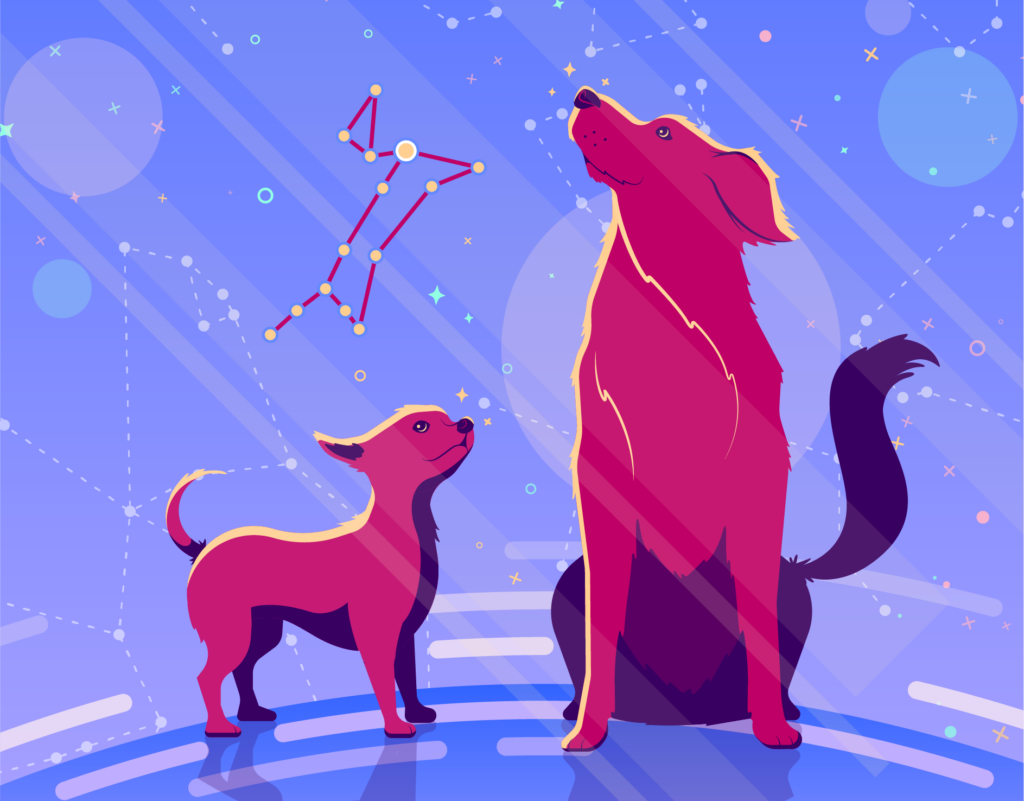 Category: Animation - Jack Watson