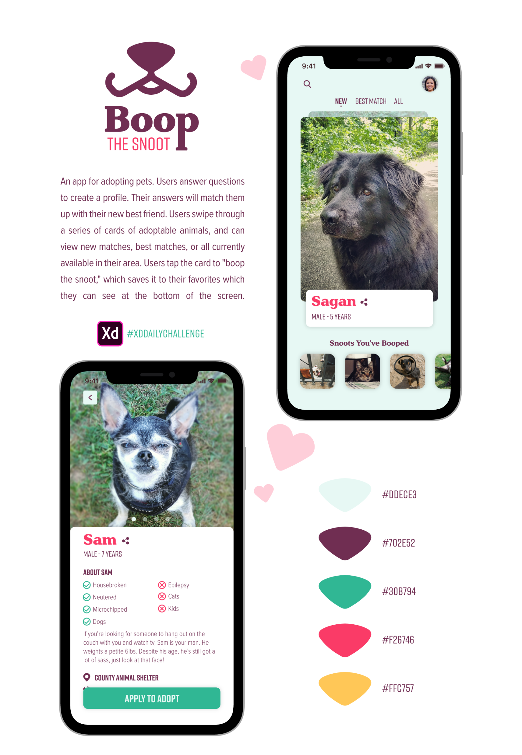 Boop the Snoot. November 2019 - Jack Watson